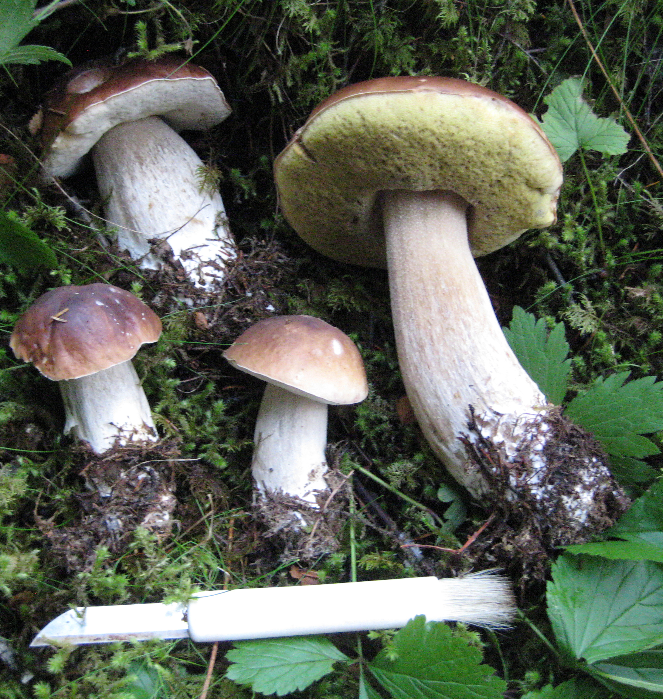 næstu námskeið | Endurmenntun