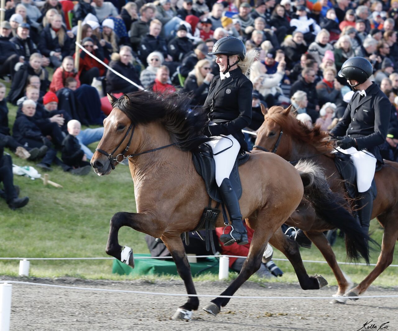 Reiðmaðurinn | Endurmenntun